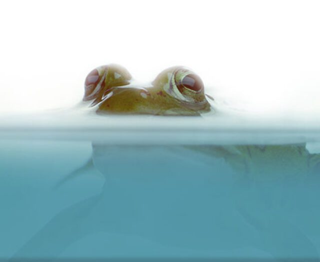 Water - Realworld Systems